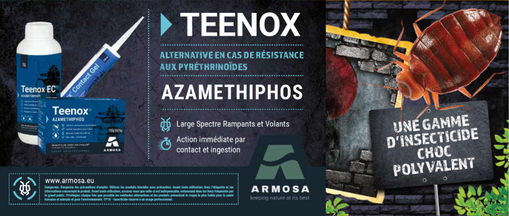 Actualités ARMOSA France
